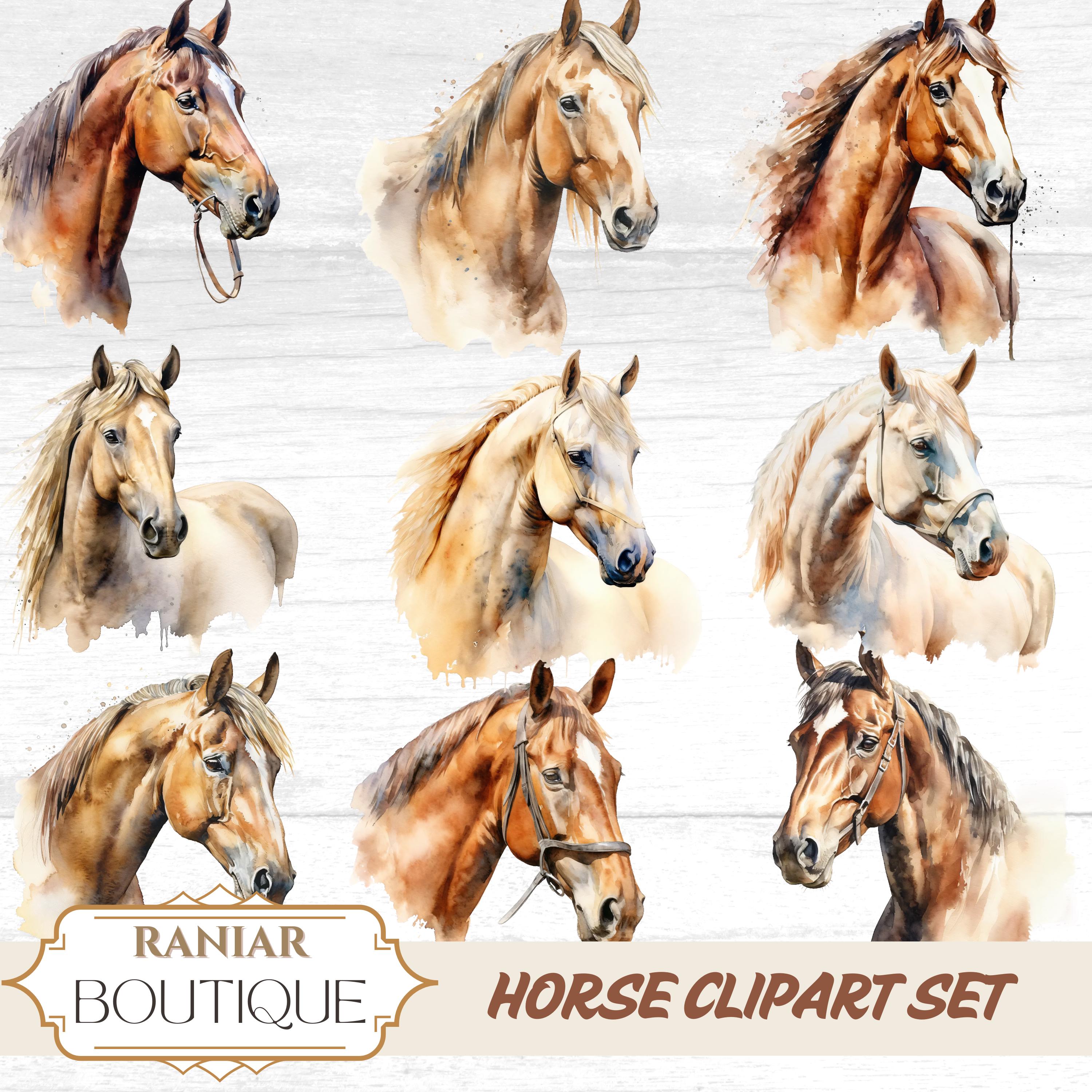 Watercolor Horse Clipart Set: Equestrian Junk Journal Graphics (digital ...