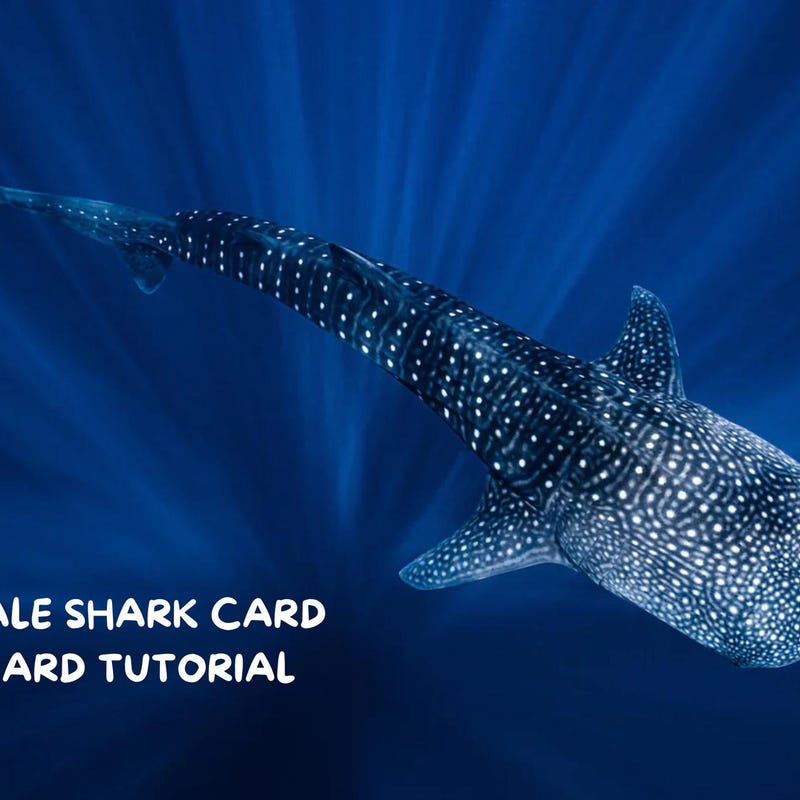 Cardboard Whale Shark Template - Etsy