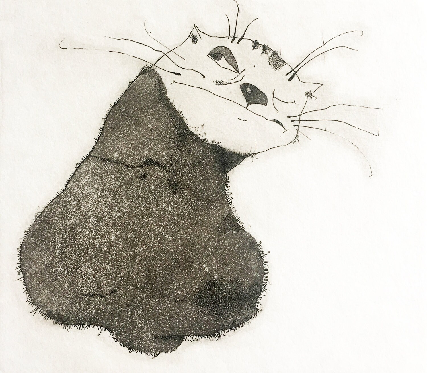 Etching Cat Etching Cat Art Printmaking Fine Art | Etsy