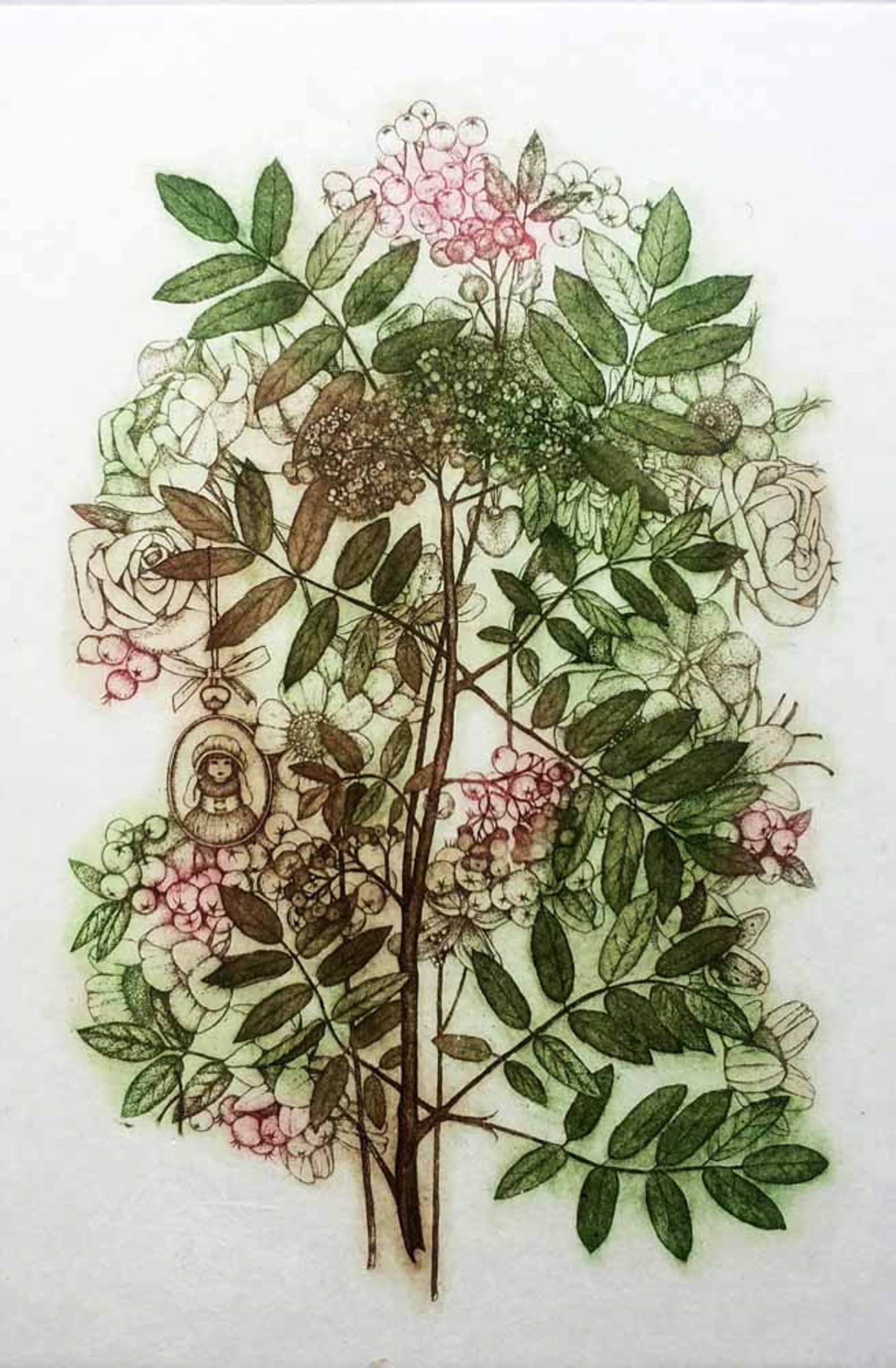 Etching rowan etching rowan art botanical print | Etsy