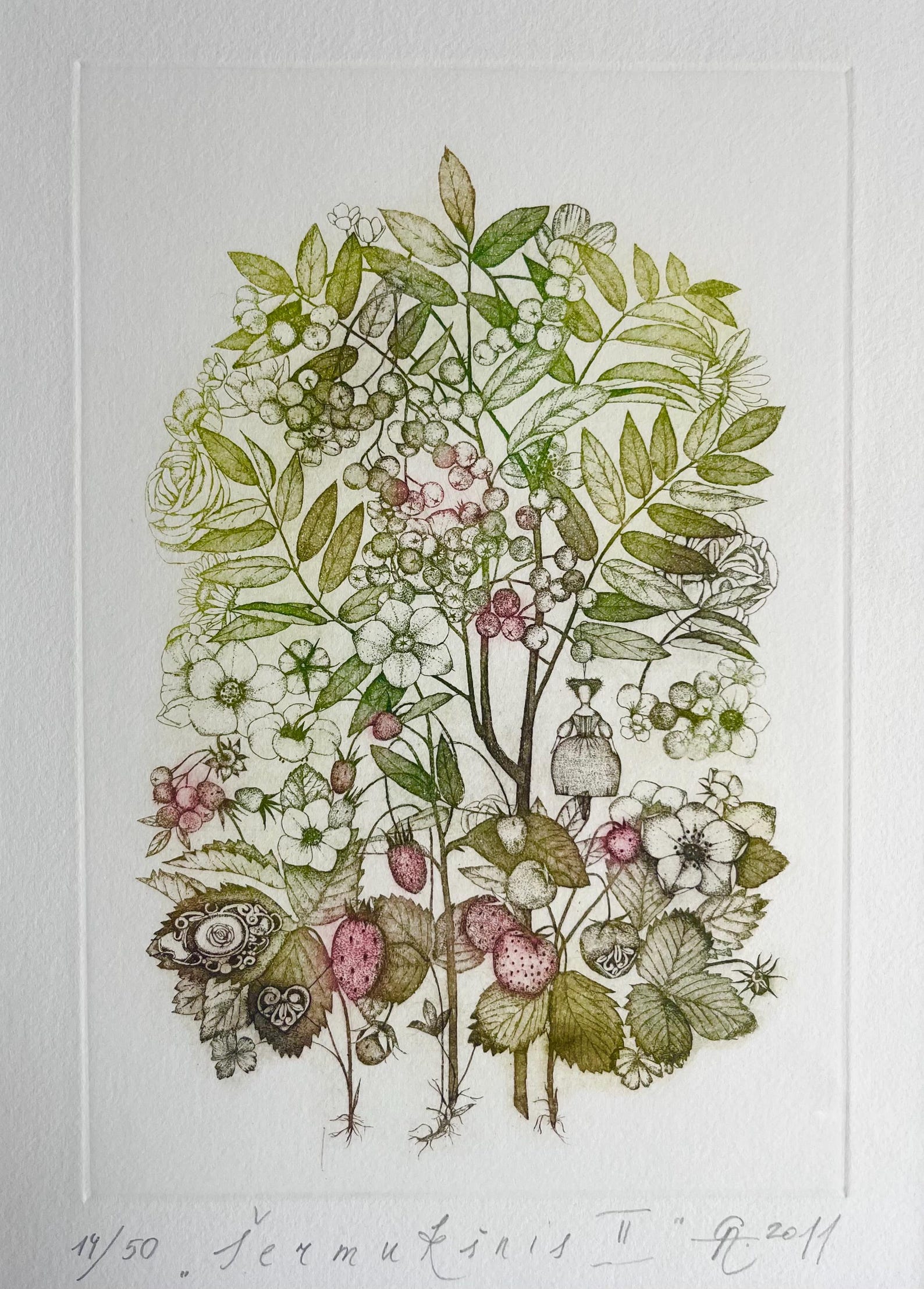 Etching - Rowan Etching - Rowan Art - Botanical Print - Printmaking ...