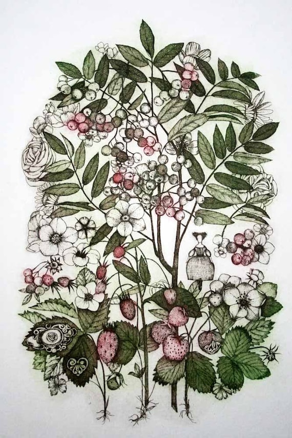 Etching Rowan Etching Rowan Art Botanical Print - Etsy