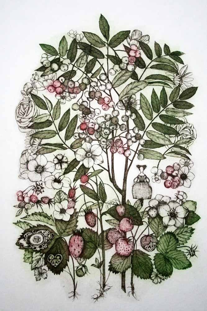 Etching - Rowan Etching - Rowan Art - Botanical Print - Printmaking ...