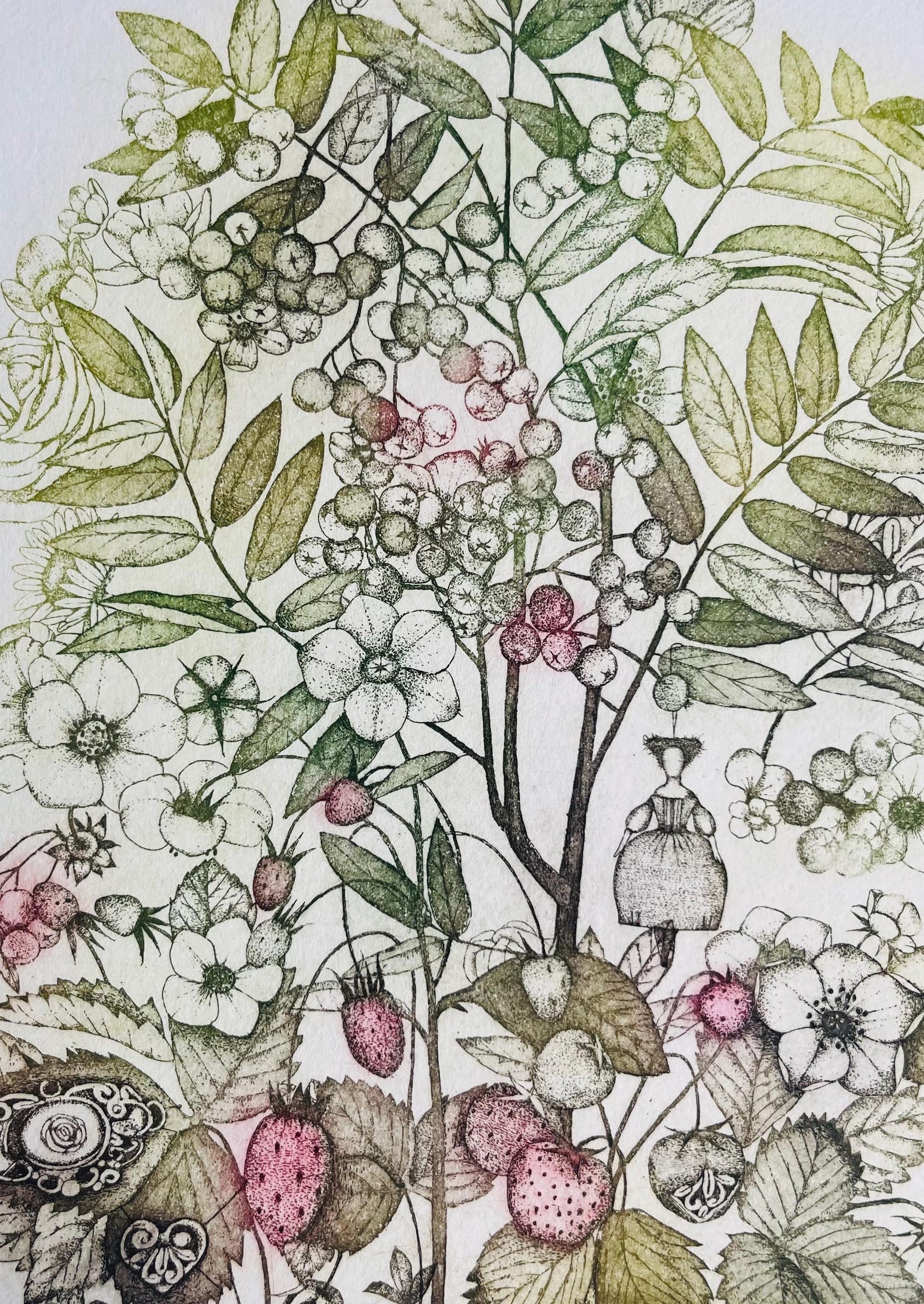 Etching - Rowan Etching - Rowan Art - Botanical Print - Printmaking ...