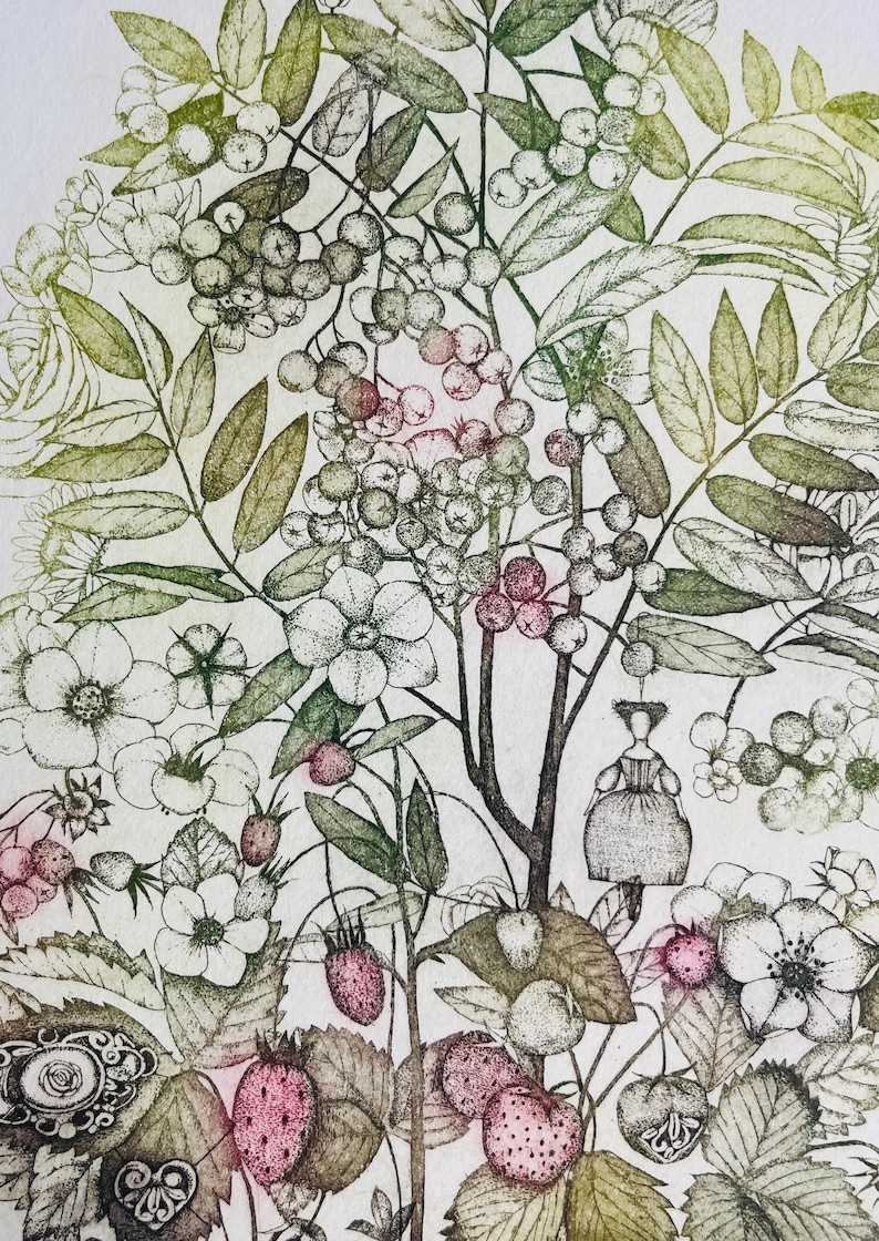 Etching - Rowan Etching - Rowan Art - Botanical Print - Printmaking ...