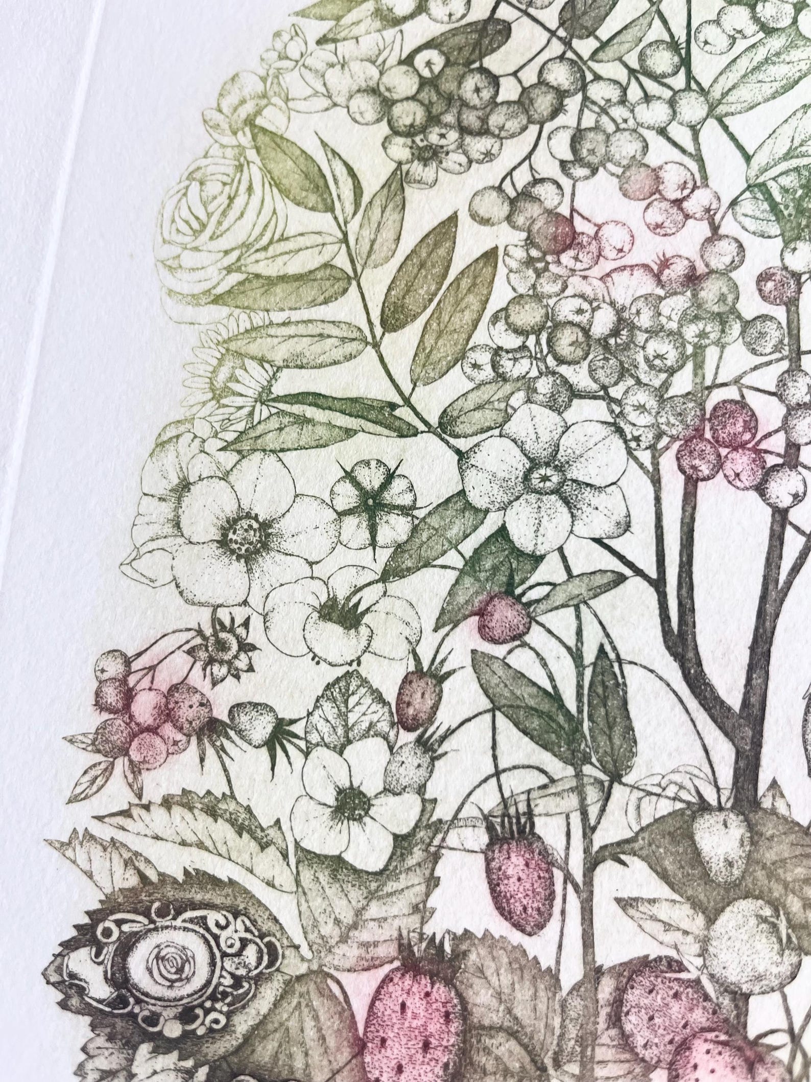 Etching - Rowan Etching - Rowan Art - Botanical Print - Printmaking ...
