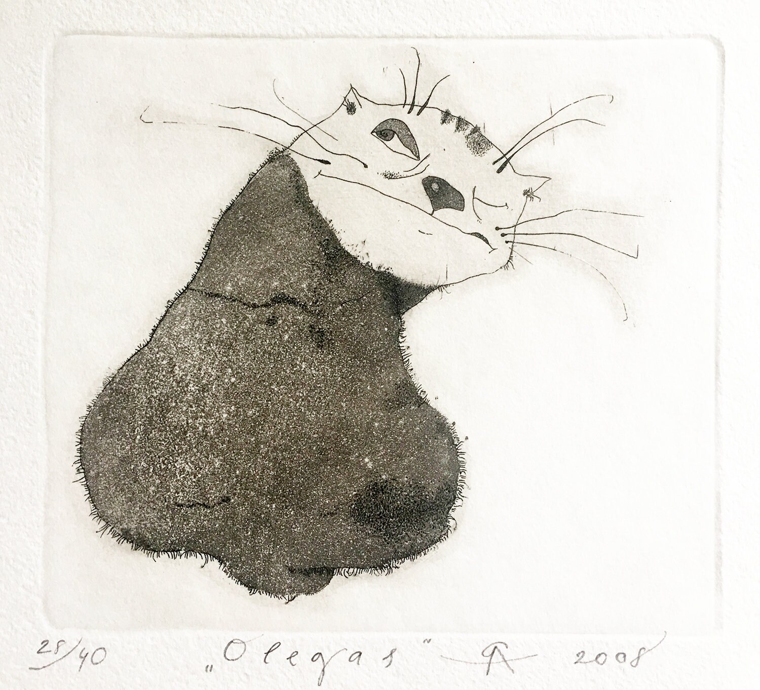 Etching Cat Etching Cat Art Printmaking Fine Art | Etsy