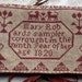 Counted Cross Stitch Pattern, Mary Robards Sampler Pocket, Flower ...