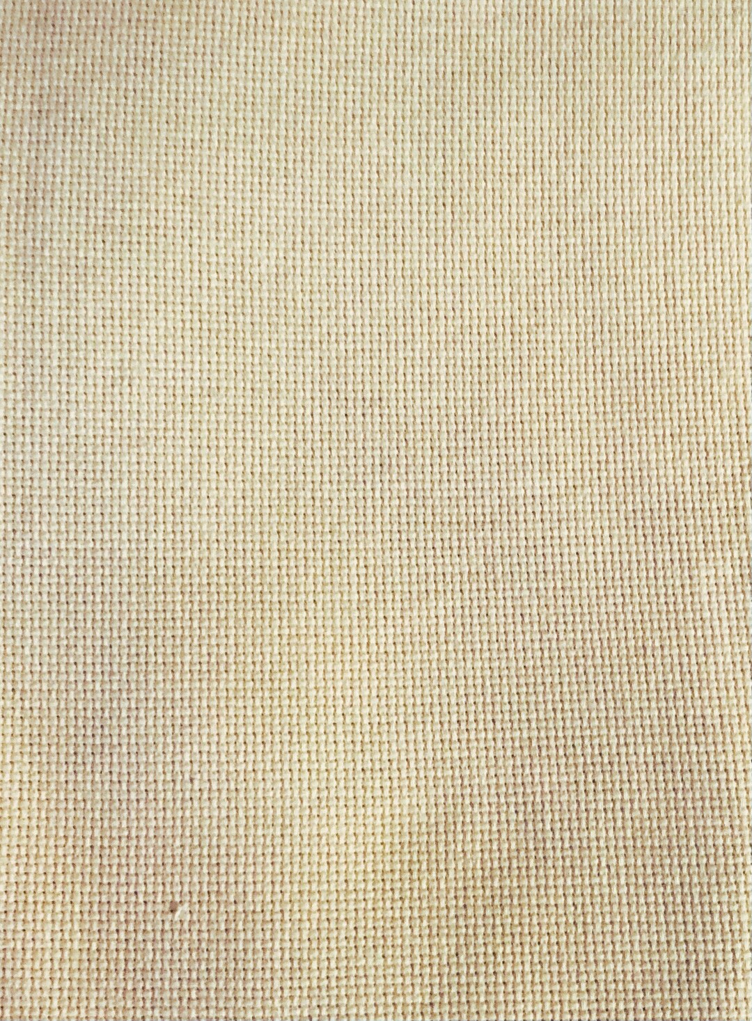 18 Count Aida, Pampas Reed, Aida 18, Zweigart, Counted Cross Stitch ...