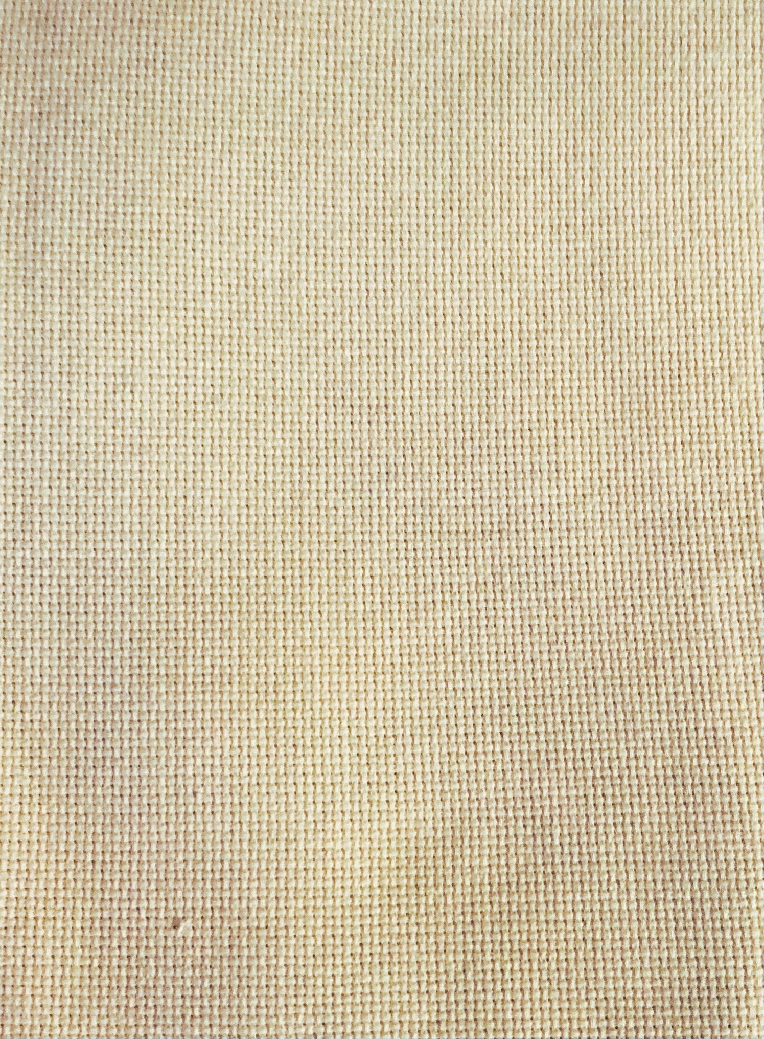 16 Count Aida, Pampas Reed, Aida 16, Zweigart, Counted Cross Stitch ...