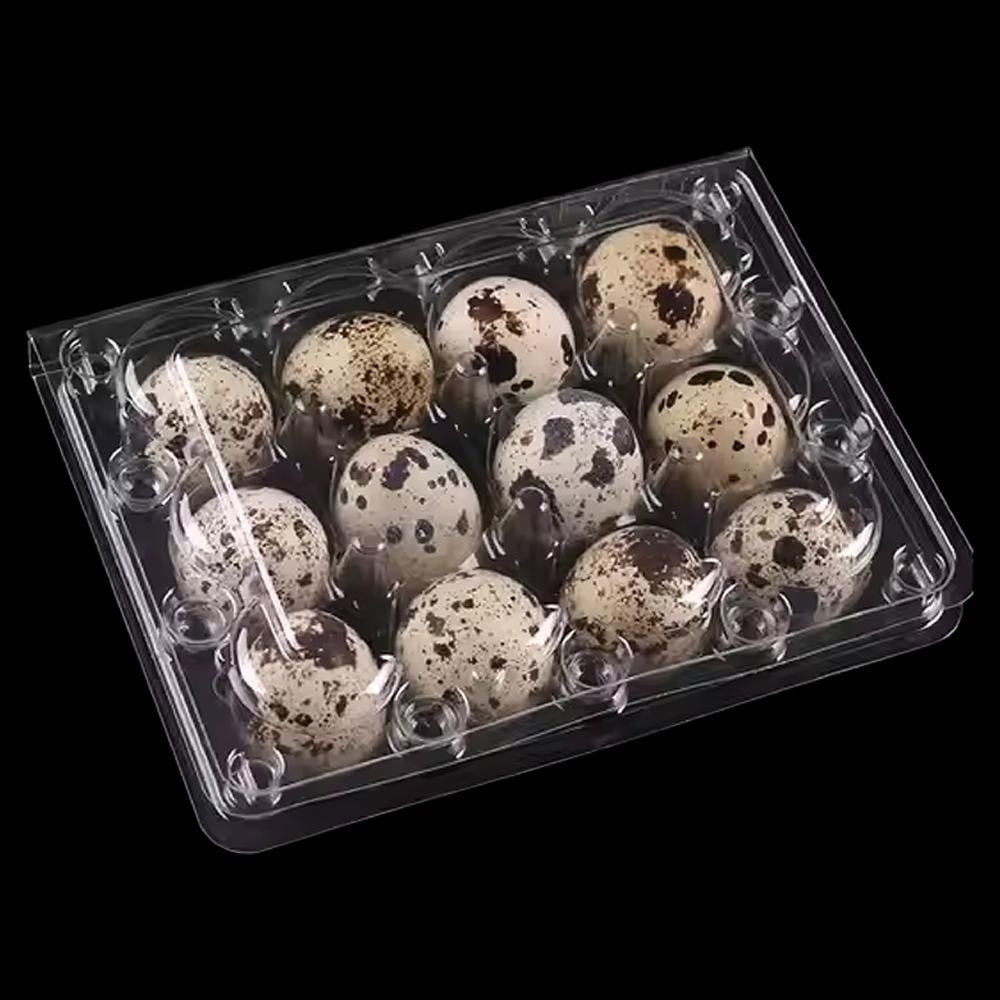 Jumbo Quail Egg Cartons With Custom Farm Labels for Coturnix Bobwhite ...