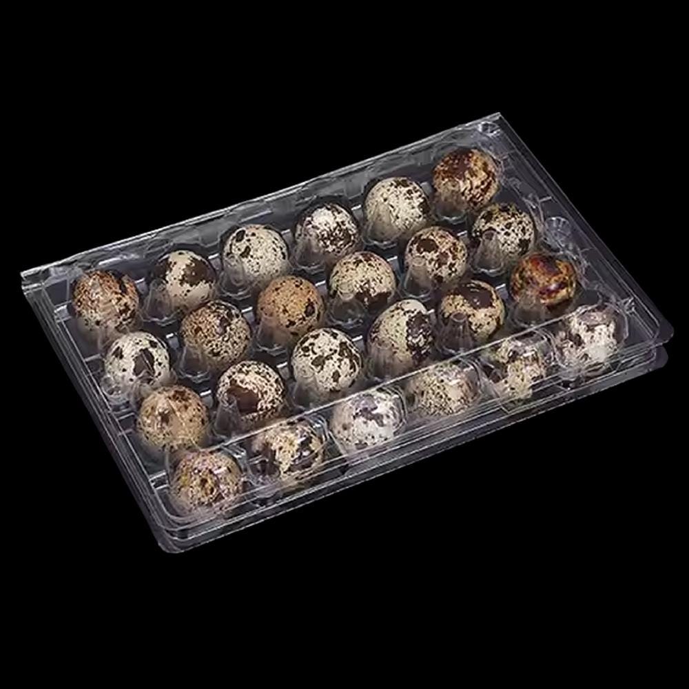 Jumbo Quail Egg Cartons With Custom Farm Labels for Coturnix Bobwhite ...