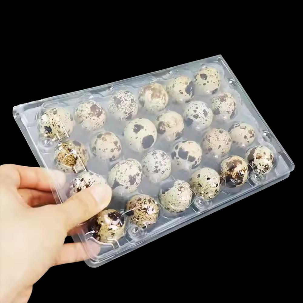 Jumbo Quail Egg Cartons With Custom Farm Labels for Coturnix Bobwhite ...