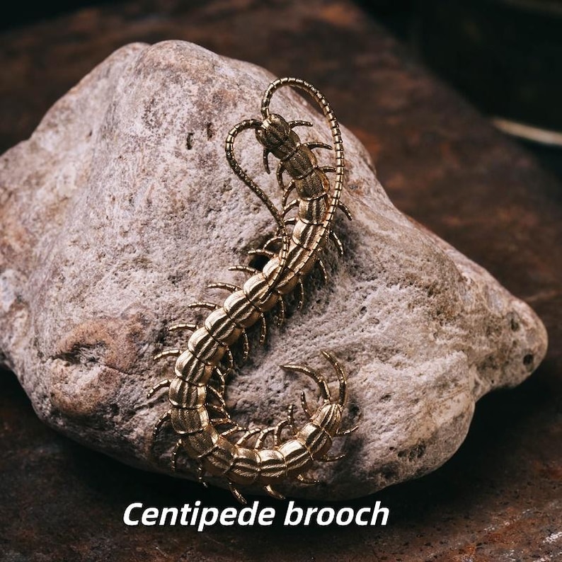Brass Centipede Brooch - Retro Costume Pendant - Etsy