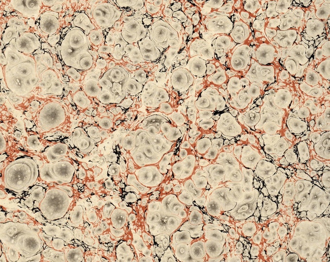 Hand Marbled Paper for Restoration and Bookbinding, Shell Pattern ...