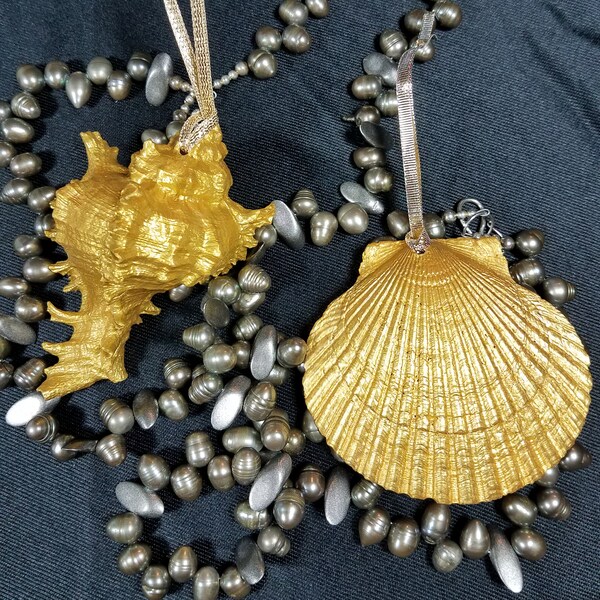 Gold Seashell - Etsy