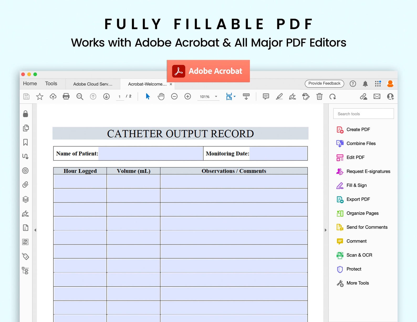 Catheter Output Record PDF, Foley Catheter Form, Urine Monitoring Form ...