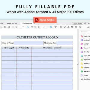Catheter Output Record PDF, Foley Catheter Form, Urine Monitoring Form for Nurses, Foley ...