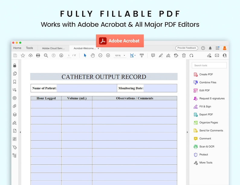 Catheter Output Record PDF, Foley Catheter Form, Urine Monitoring Form for Nurses, Foley ...