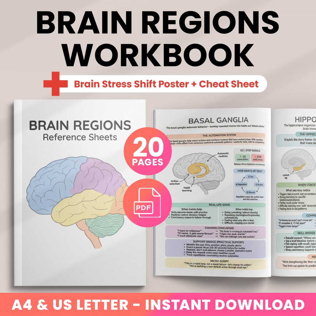 20 Brain Regions Info Sheets - Brain Areas & Functions Quick Reference ...