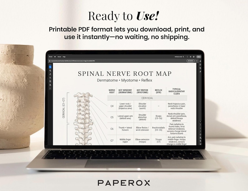 Spinal Nerve Root Map Poster - Dermatome Myotome Reflex Chart ...