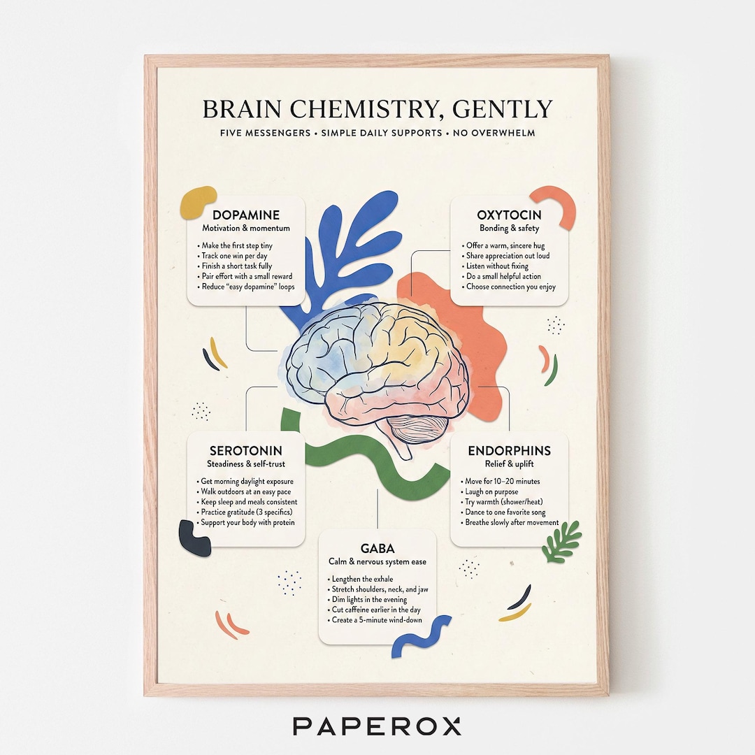 Happy Brain Chemicals Poster | Dopamine Serotonin Oxytocin Endorphins ...