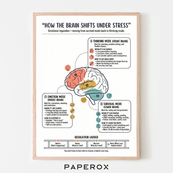 Brain Poster - Etsy UK
