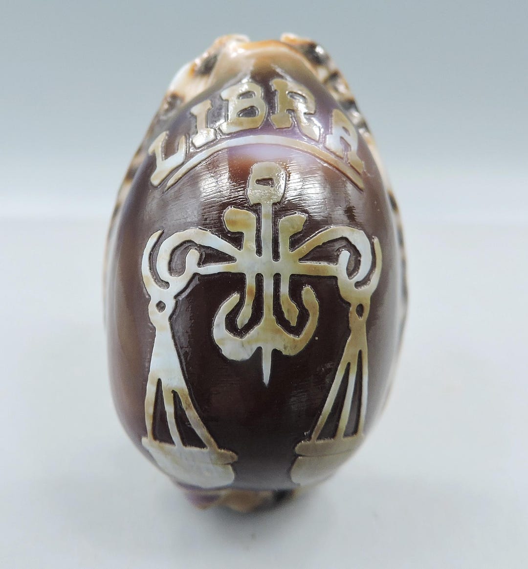 Vintage Hand Carved Cypraea Tigris / Tigre Cowrie Shell With Zodiac ...