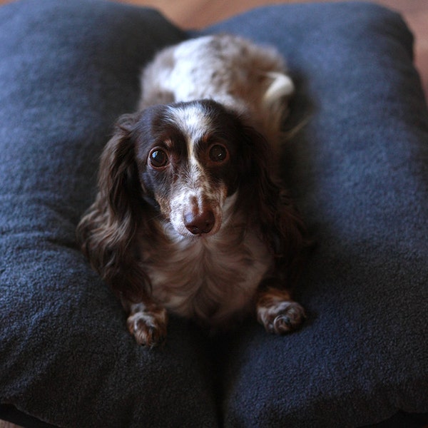 Dog Burrow Bed - Etsy