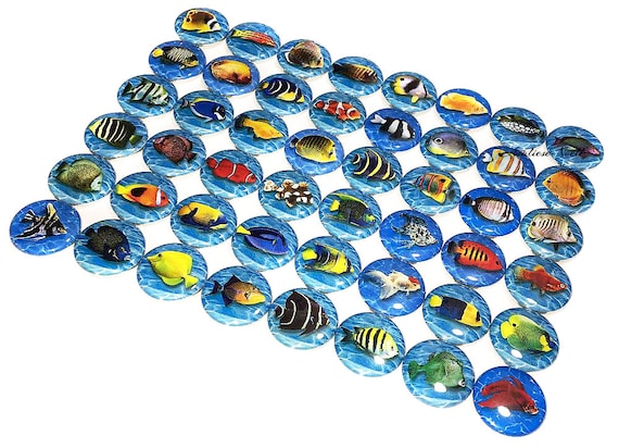 Fish Magnet Tropical 1 1.25 1.5 | Etsy