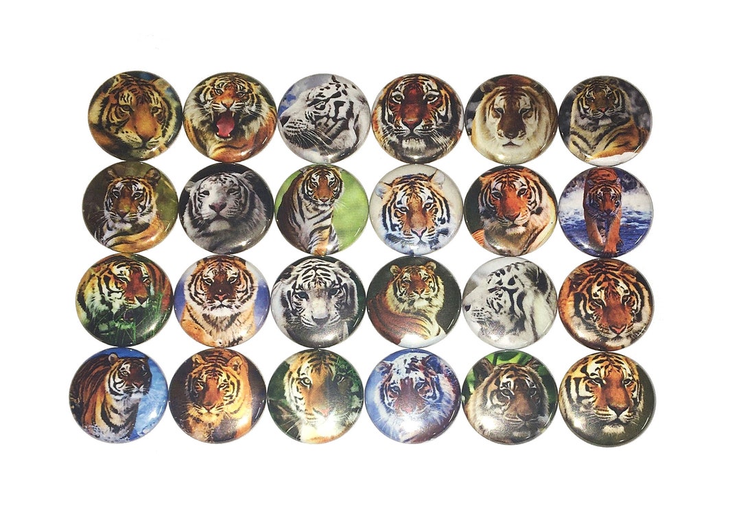 Tiger Magnet, 1", 1.25", Button Magnet, Tiger Theme, Tiger Decor ...
