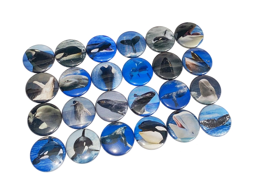 Whales, 1", 1.25", 1.5", 2.25", Button, Whale Theme, Whale Decor, Whale ...