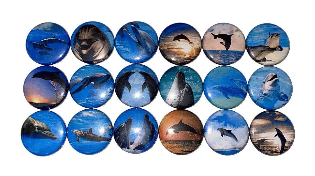 Dolphin Magnet, 1", 1.25", 1.5", 2.25", Button Magnet, Dolphin, Dolphin ...