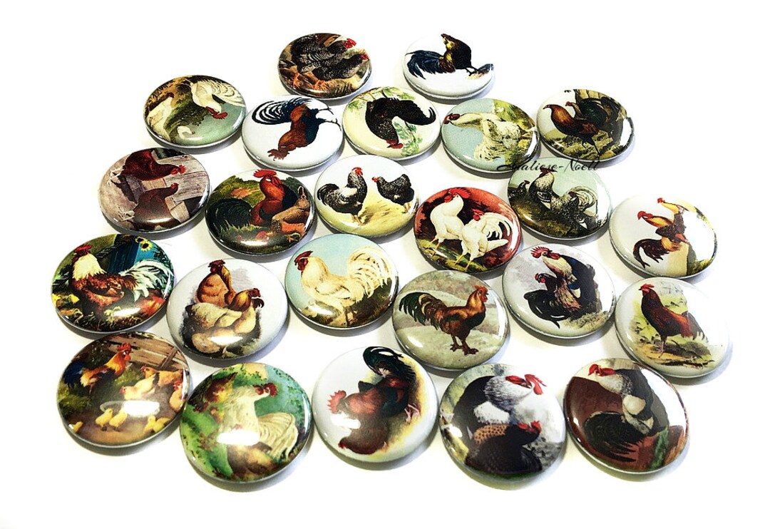 Chickens, 1", 1.25", 1.5", 2.25", Button, Chicken Button, Chicken Decor ...