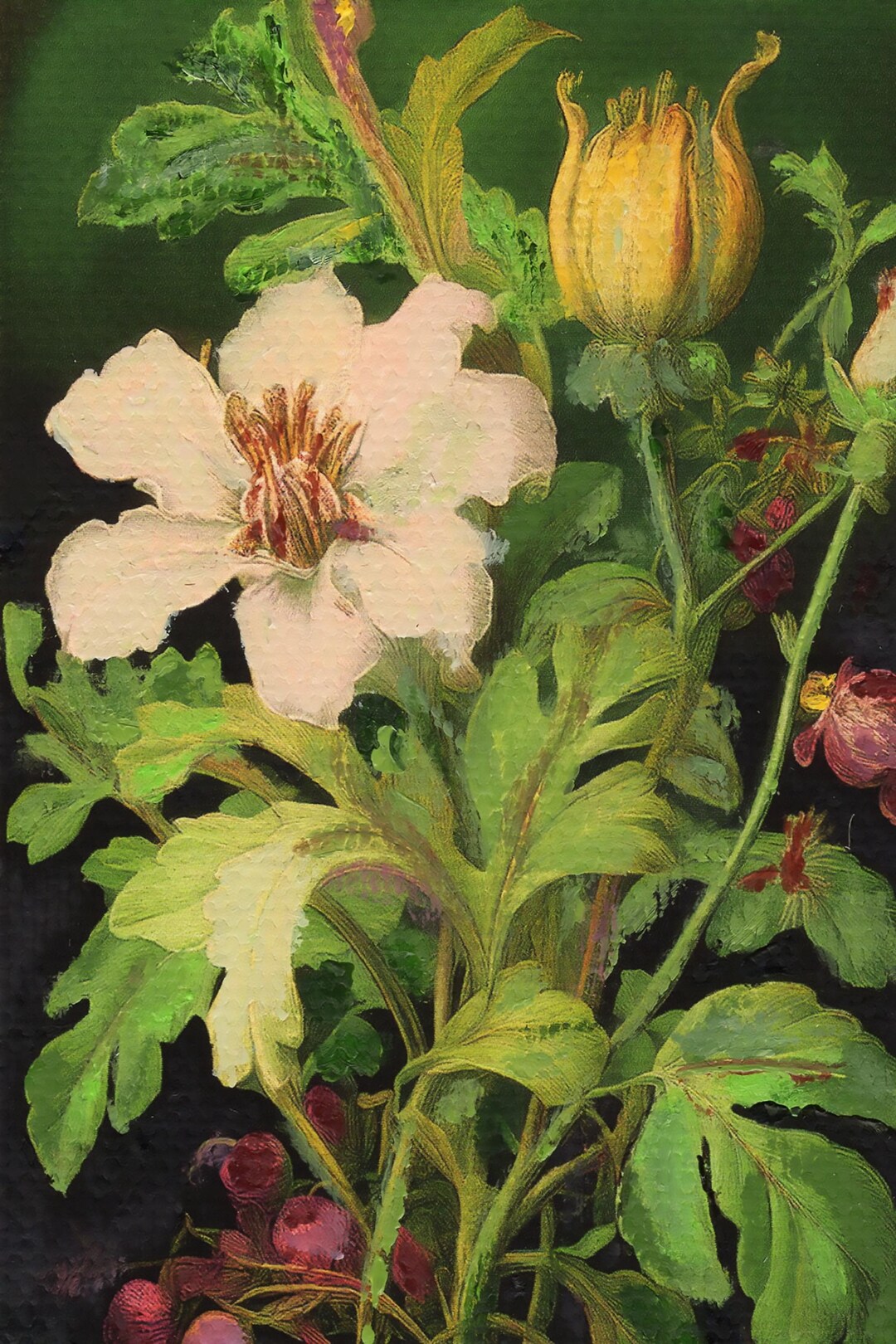 Vintage Botanical 4x6 Art Print of Original Painting - Etsy
