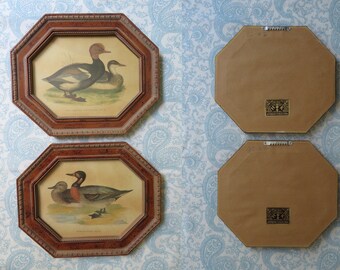 H Hal Kramer Prints - Etsy