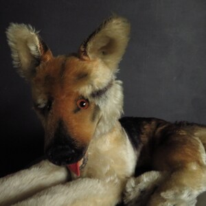 50s Steiff German Shepherd "arco" - With Red Collar Reclining Stuffed ...