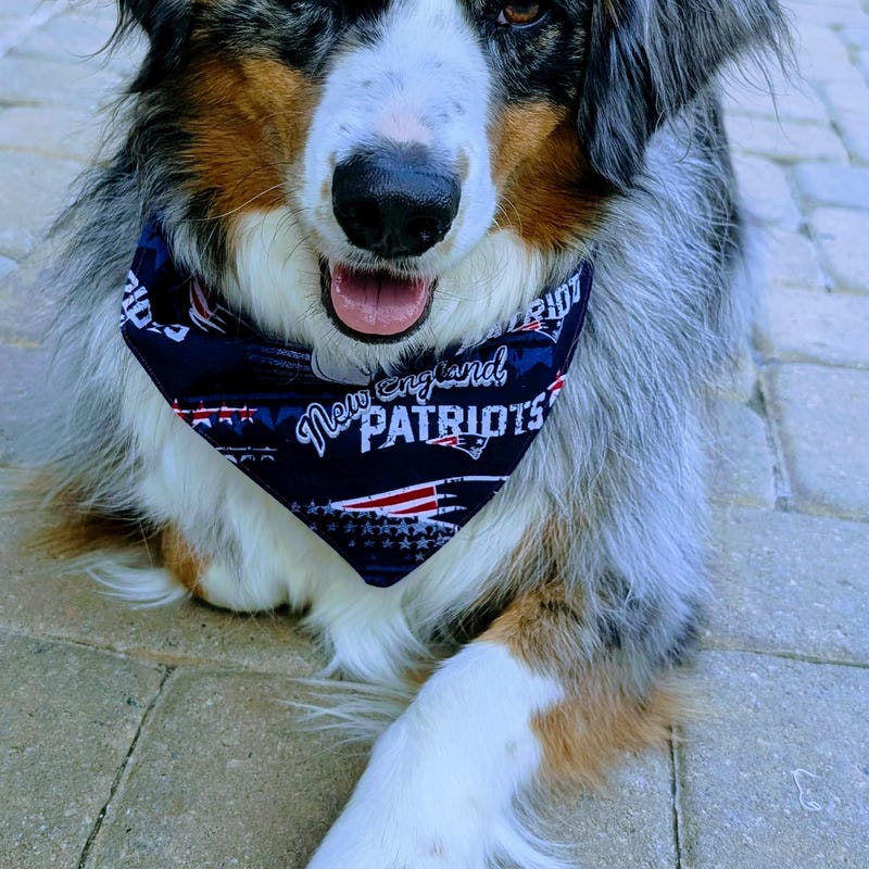 Dog Patriots Clothing - Etsy UK