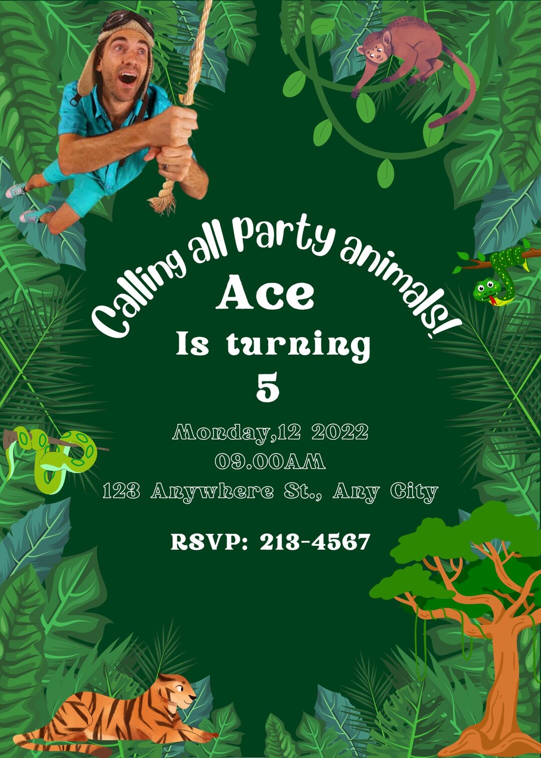 Danny Go Birthday Party Invite Birthday Invitation Digital Invite ...