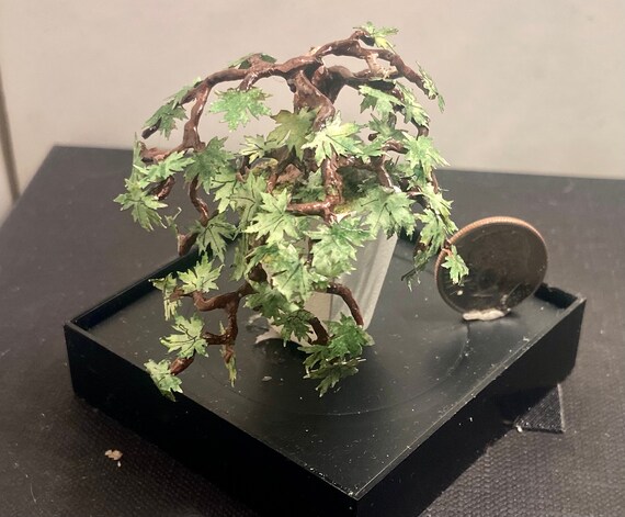1:12 Scale Japanese Cut Leaf Maple Bonsaicascading Form - Etsy