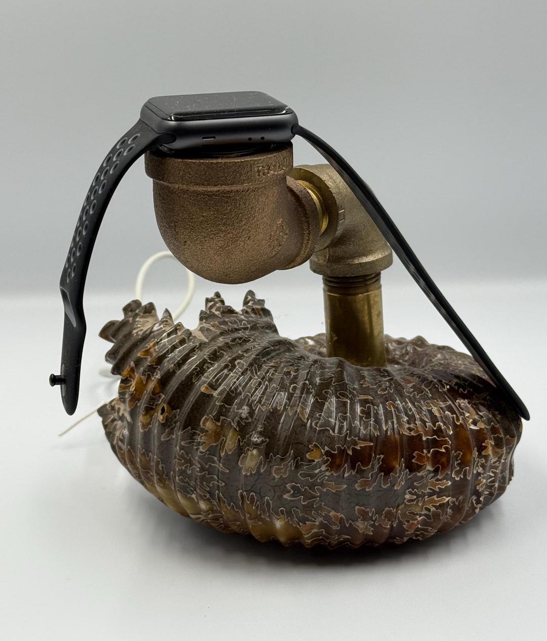 Ammonite Fossil Apple Watch Charger, High Tech Meets the Stone Age. - Etsy