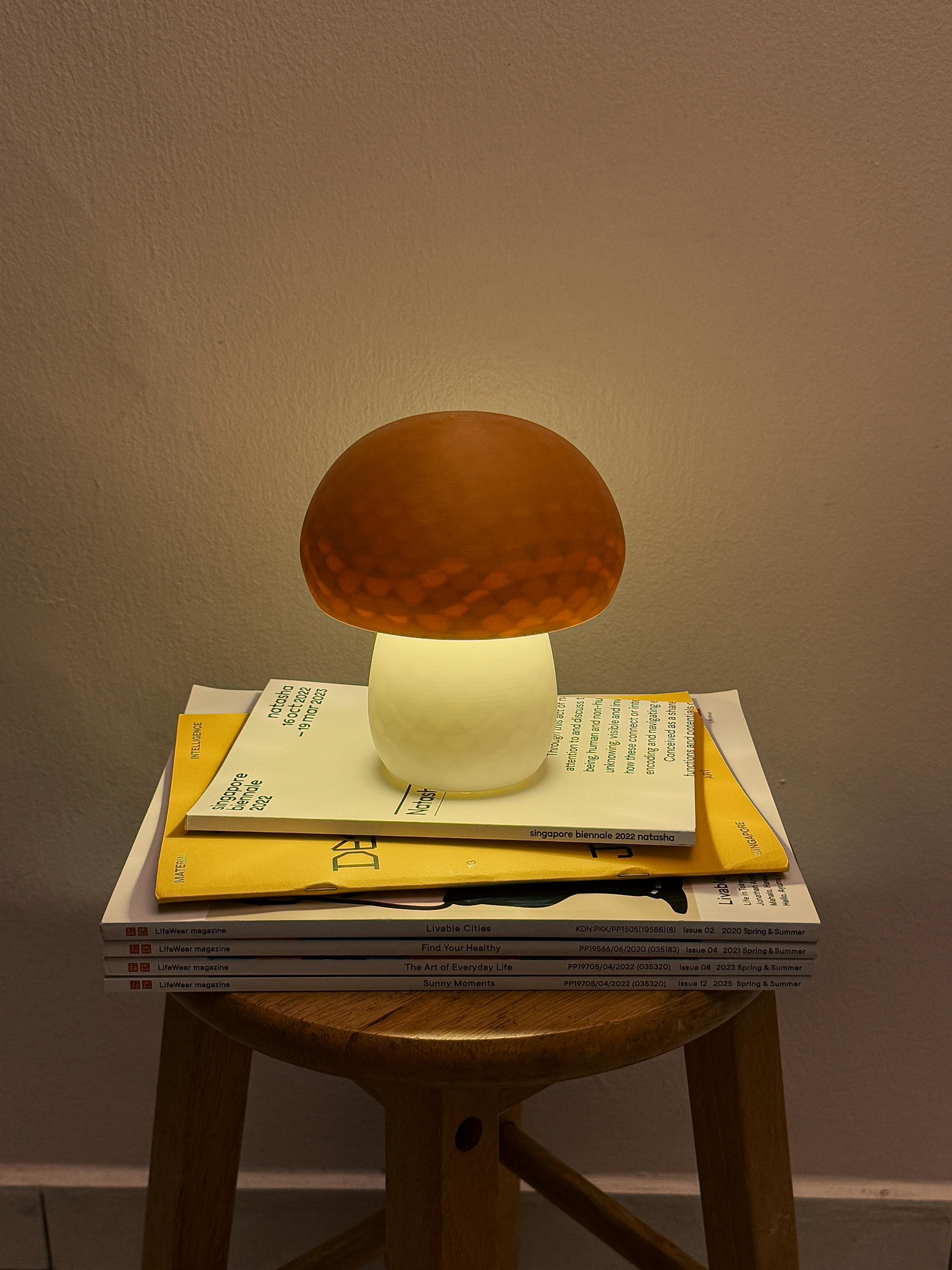 3D Printed Mushroom Night Light – Cozy Desk or Nursery Lamp - Etsy