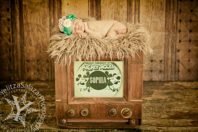 Caramel Brown Mongolian Faux Fur Rug Nest Photography Photo - Etsy