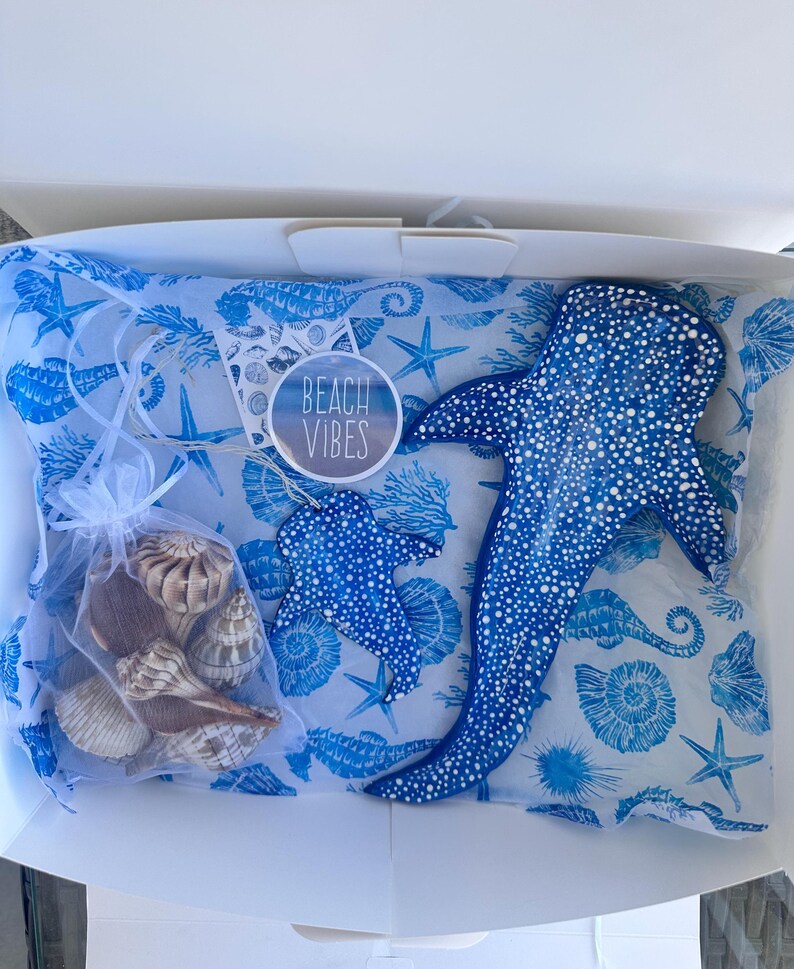 Ocean Treasure Box – Handmade Whale Shark Keepsakes & Florida Seashells - Etsy