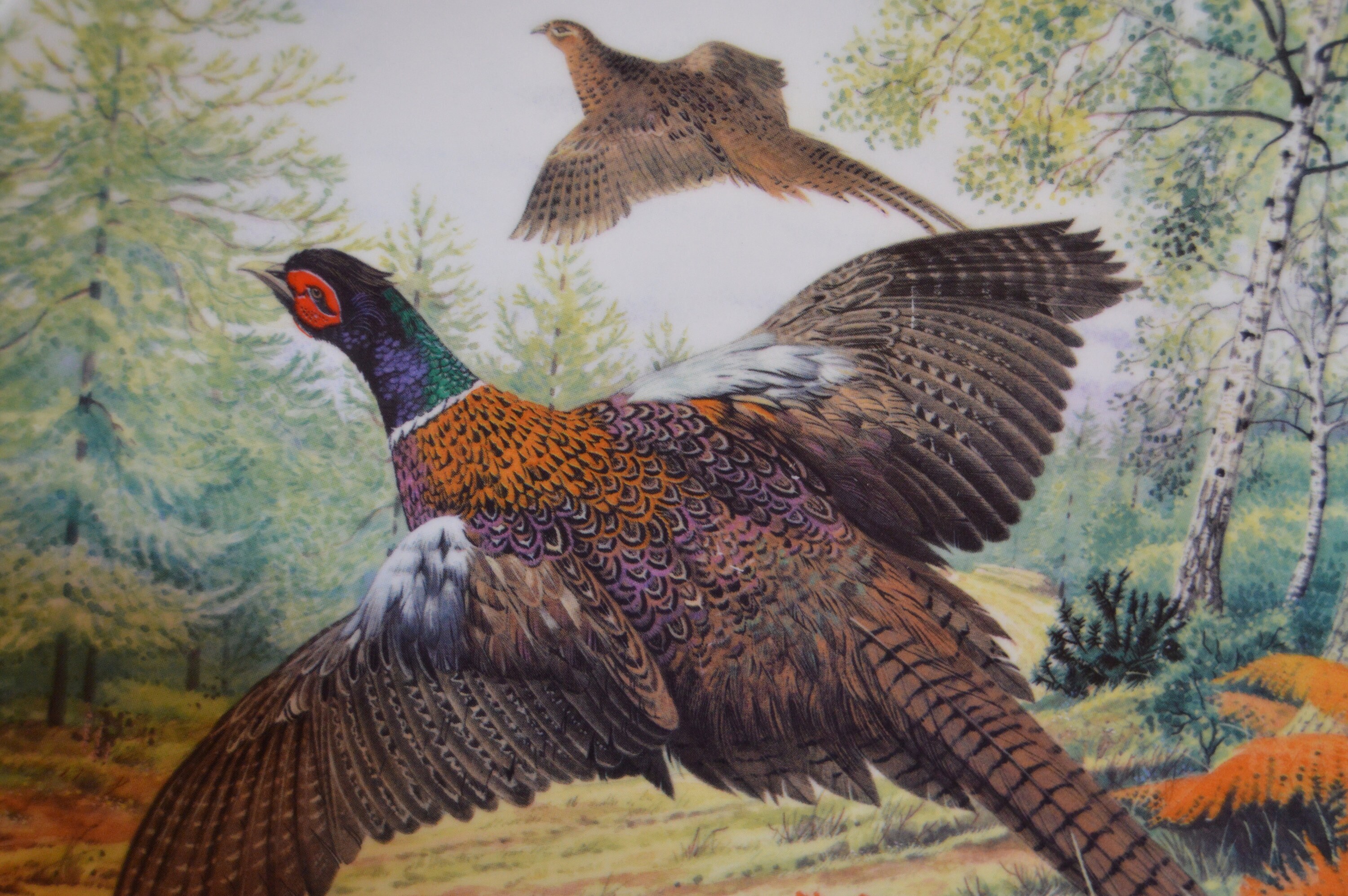 Royal Grafton Limited Edition Pheasants in Flight Plate1987derek ...