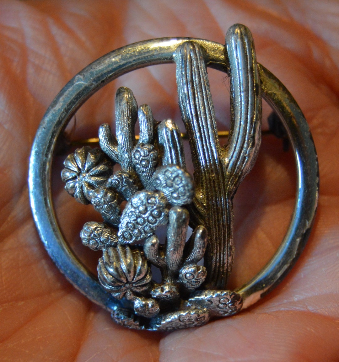 Épingle de plantes de cactus argentée mignonne et détaillée style en ...