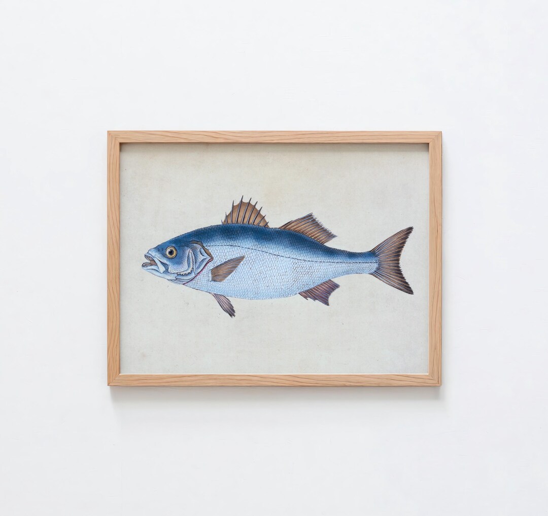 Printable Art Download, Home Wall Fishing & Nautical Decor ...