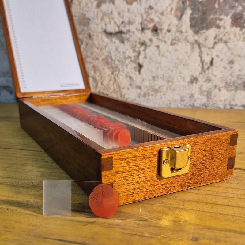 Dexter Blood Slide Box - Etsy