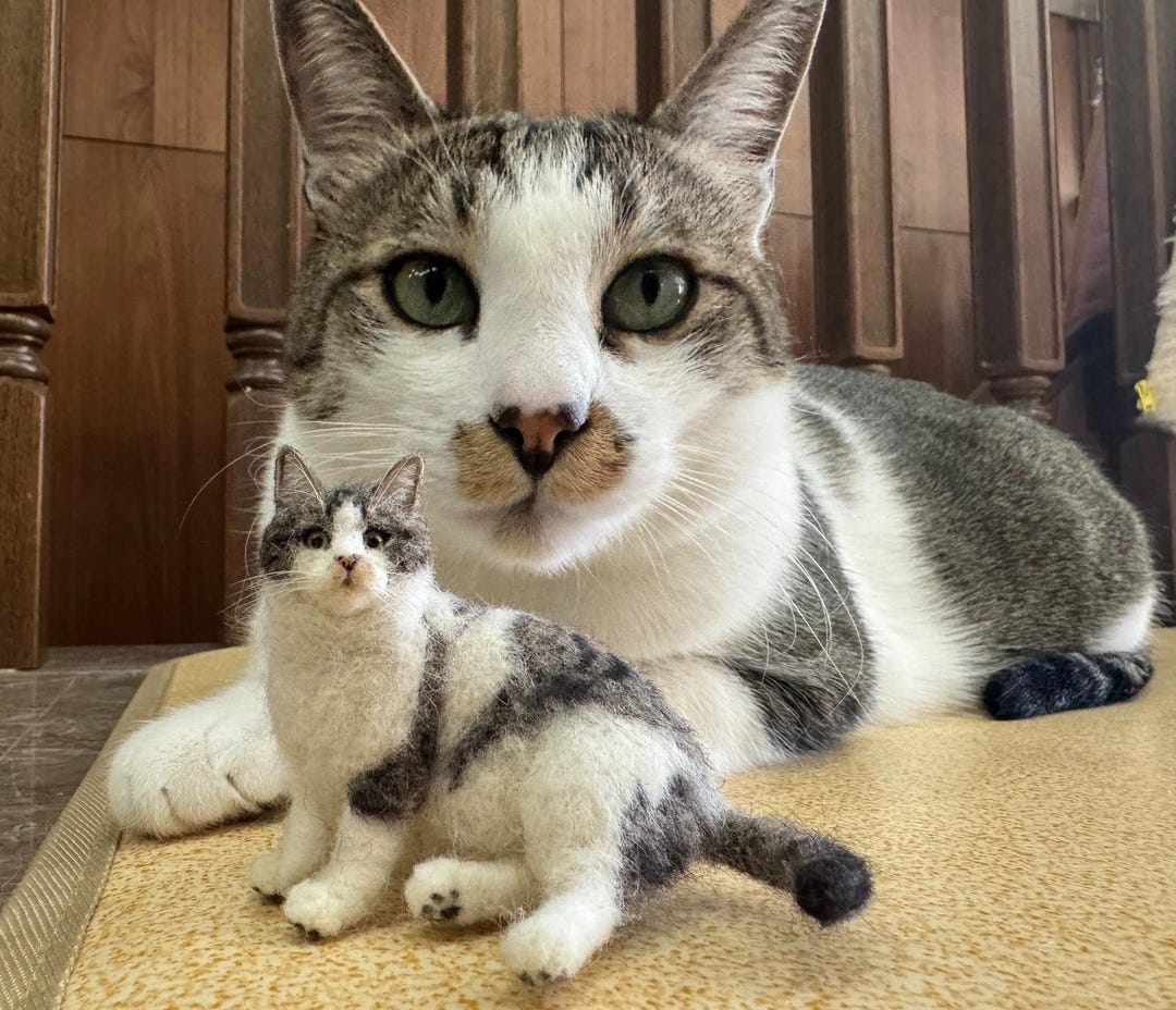 Needle Felt Animals, Customized Pets, Cute Cats, Pet Memorial Halls ...