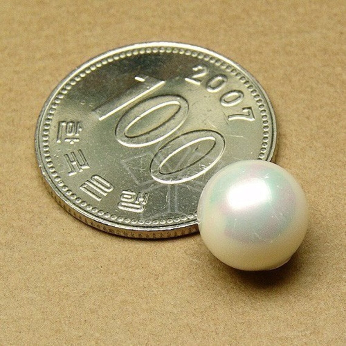PL-004-SP / 4 Pcs Cream White Shell Pearl Half-drilled 8mm - Etsy